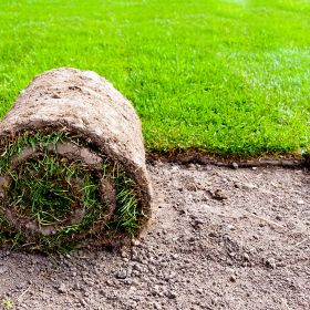 Landscaping Products - Turf For Sale - Regal Turf - Eurogreen ...